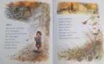 A Picturebook a week: Out and About: A First Book of Poems – Library Mice